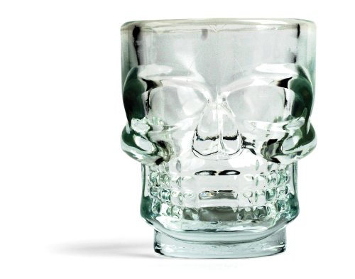 Skull Shot Glasses Set of 4