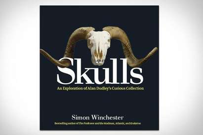 The Top 5 Skull Gifts